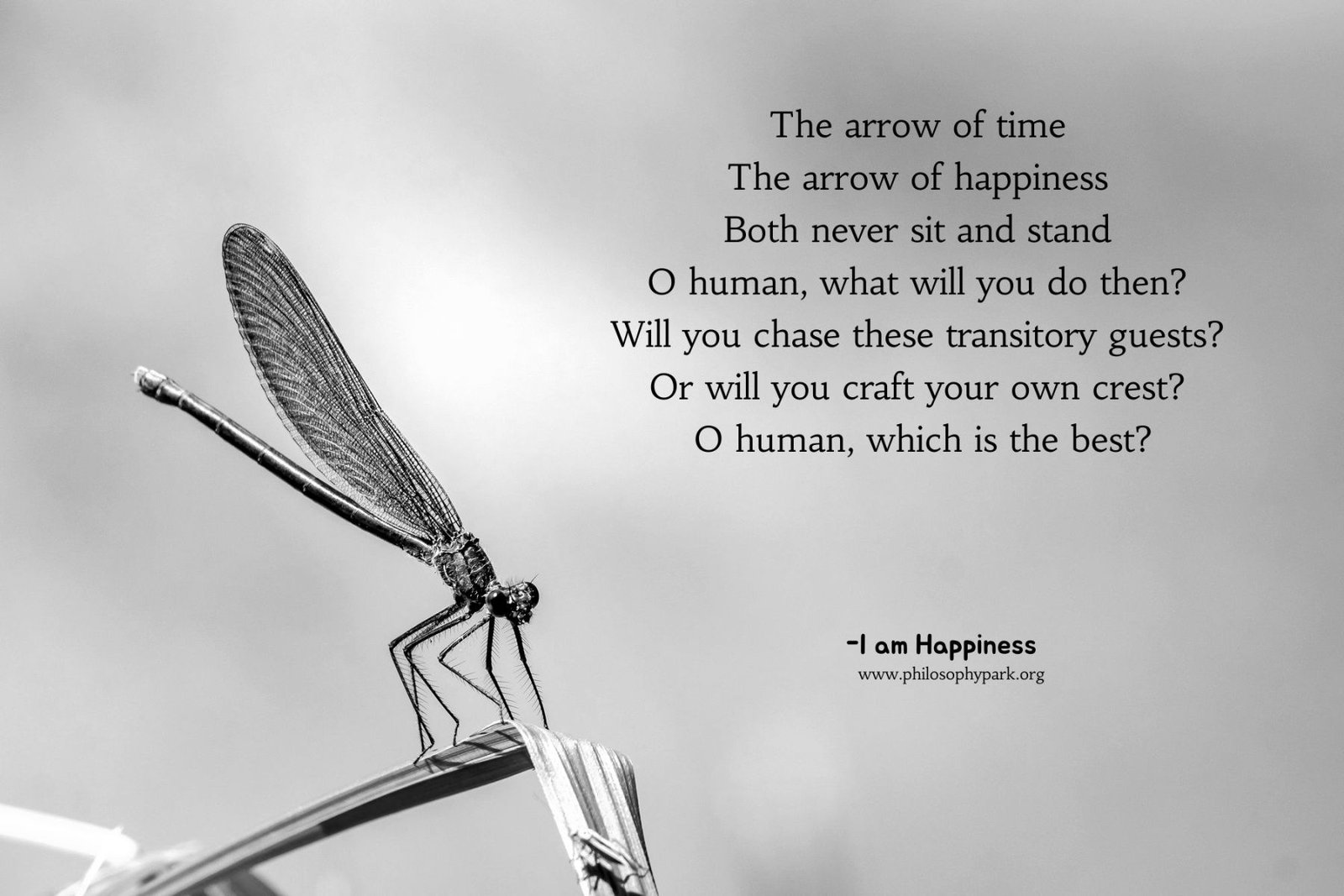 I’m happiness | Philosophy Park